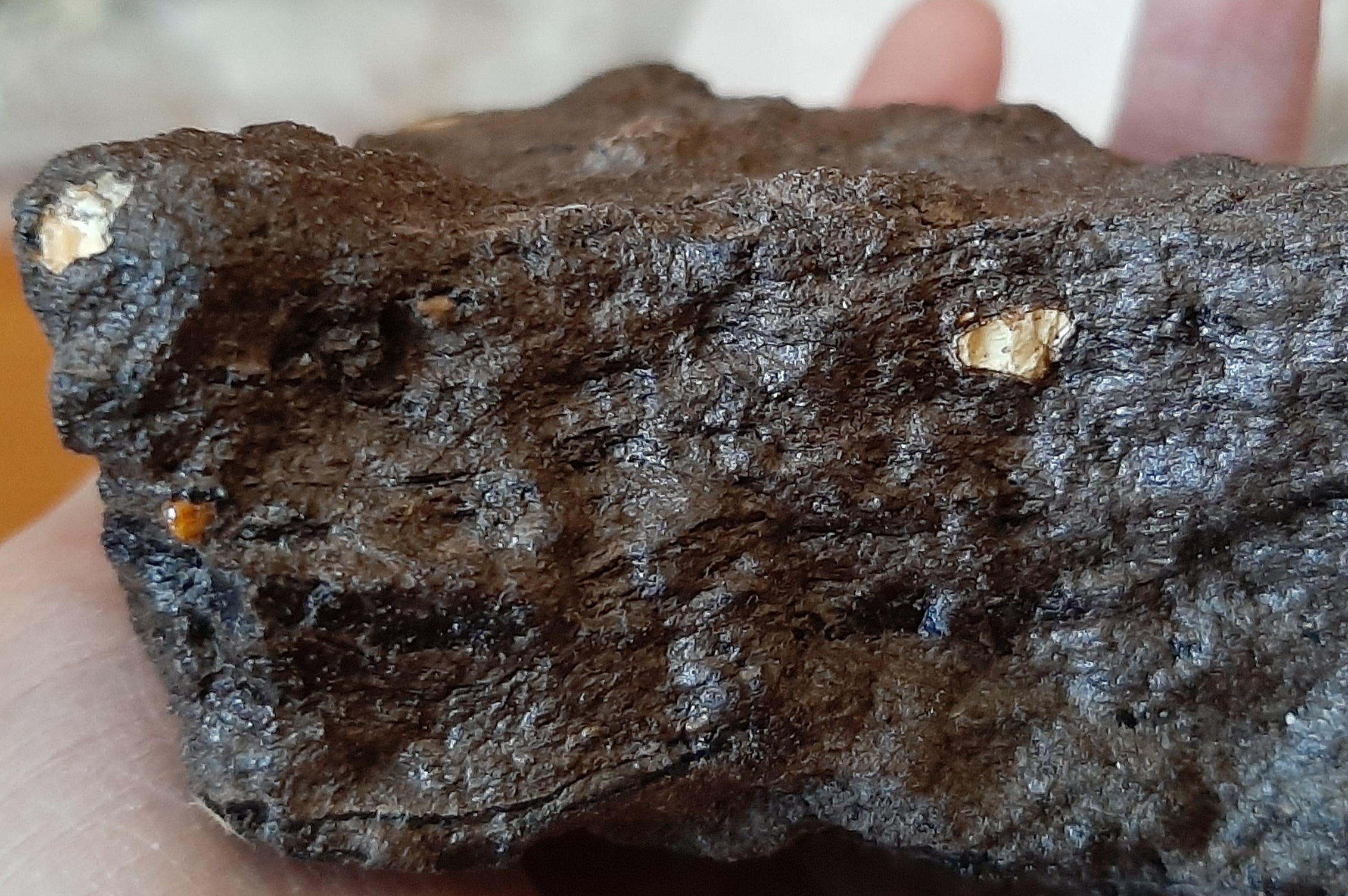 Barnsteen – Puffins and Pies