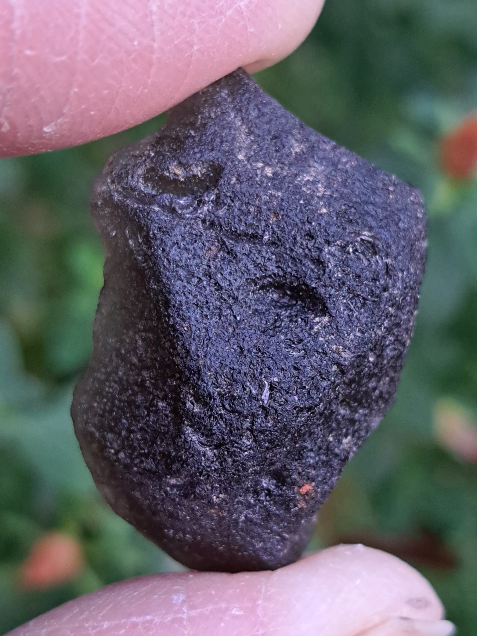 Agni Manitiet – Puffins and Pies